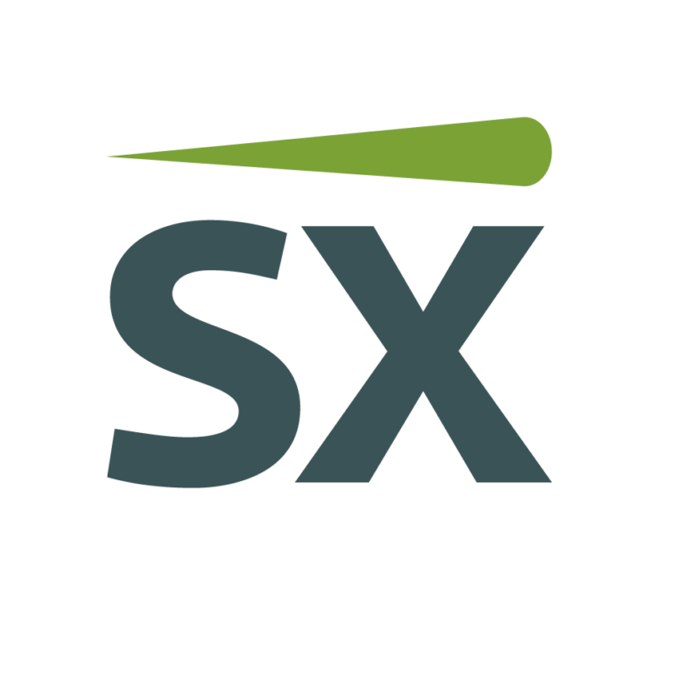 icono – SAPIX Solutions | Supply Chain and Business Processes Management Consultants